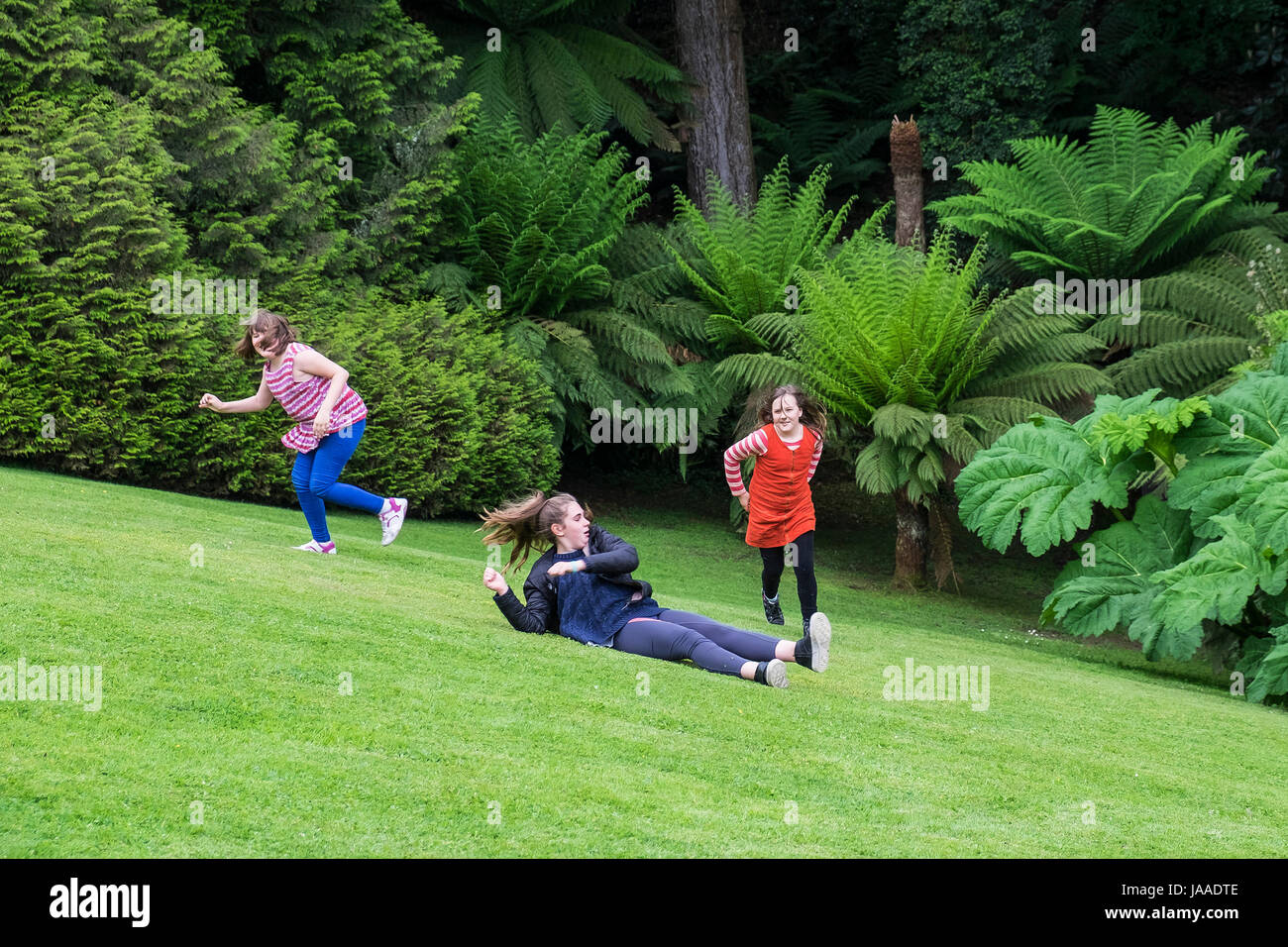 Young girls playing on the lawn in Trebah Garden in Cornwall Stock ...
