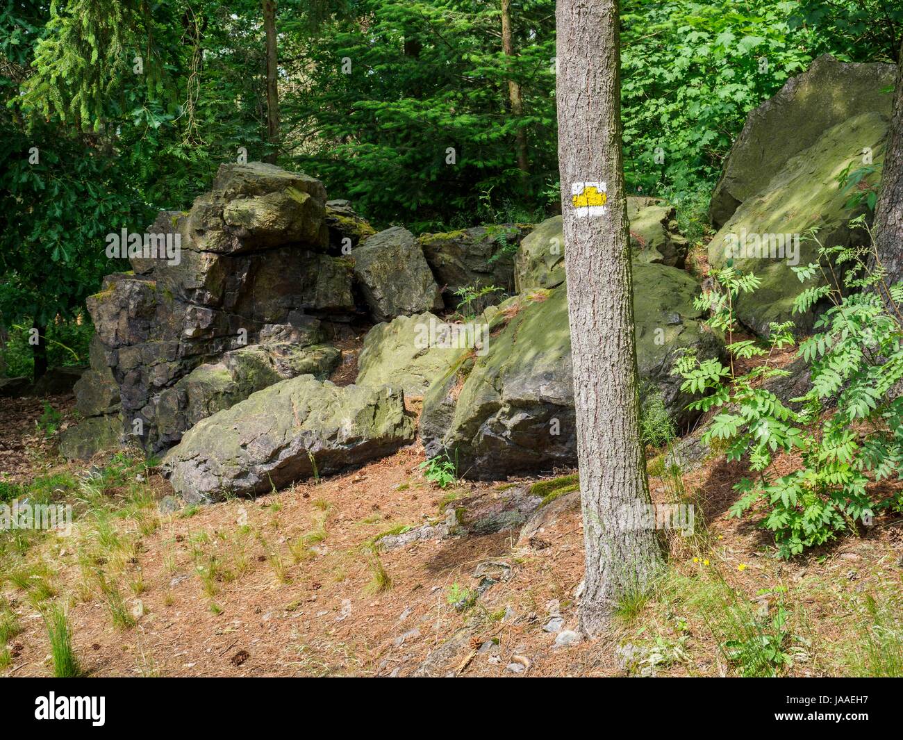 Tree, tourist sign, rock Stock Photo - Alamy