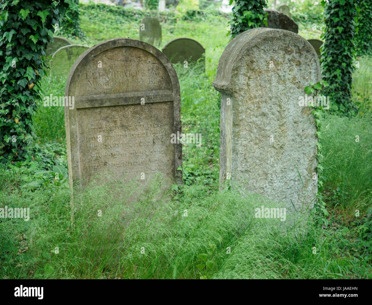 Jewish Cemetery, Gravestone, Grass, Tree Stock Photo - Alamy