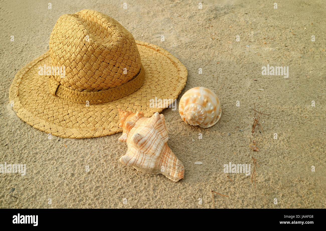 Natural brown straw hat with beautiful natural seashells on the sand ...