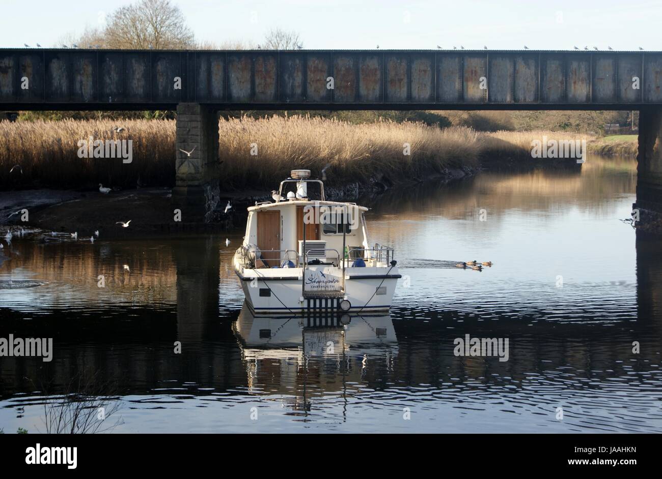 The river Teign in the Hackney Marshes Nature Reserve Stock Photo - Alamy