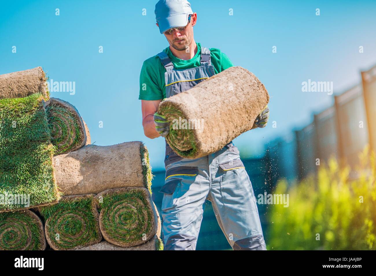 Gardener with Piece of Natural Turf Grass. Grass Installation Stock ...