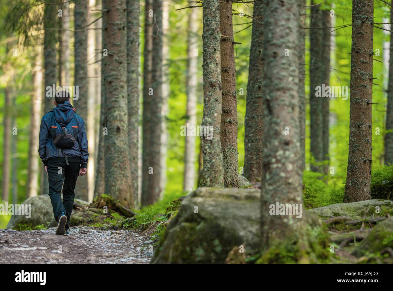 Mountain Forest Hiking. Caucasian Men with Small Backpack on the Forest ...