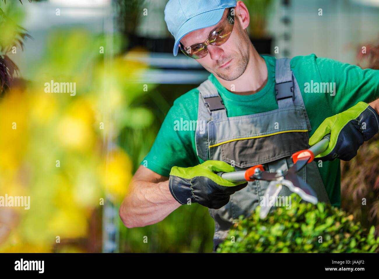 Gardener Trimming Garden Plants During Spring Garden Season Stock Photo ...
