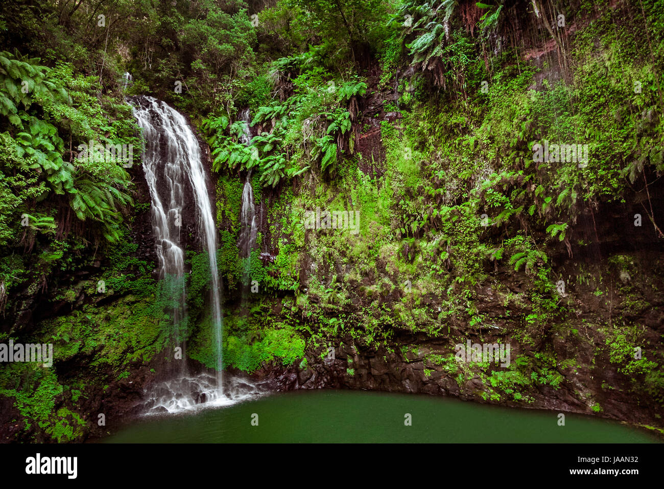 The sacred falls in the Amber Mountains park, Madagascar Stock Photo ...
