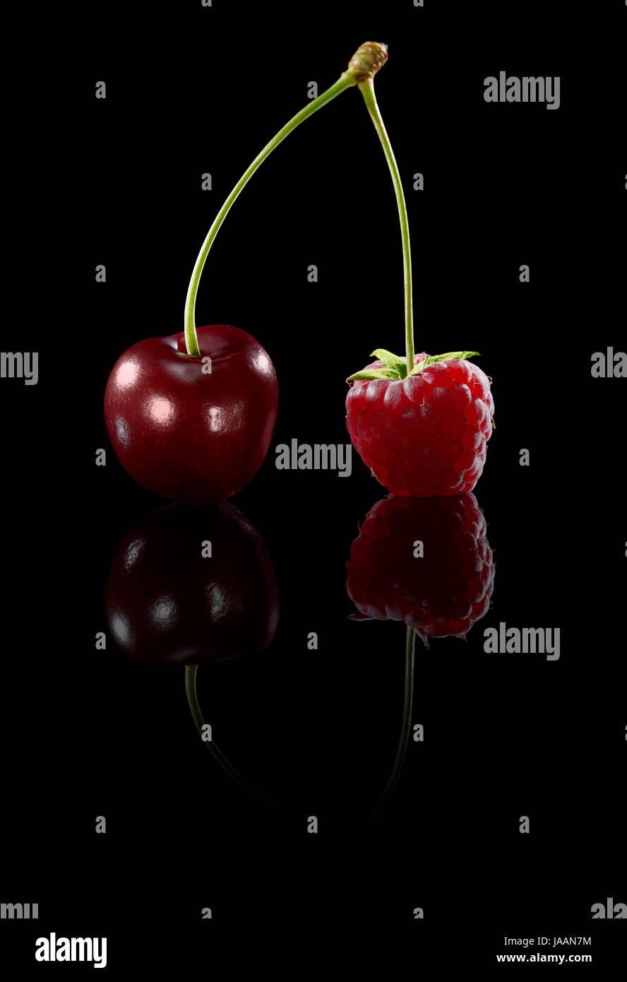 composite fruit of cherry and raspberry in black reflective back Stock ...