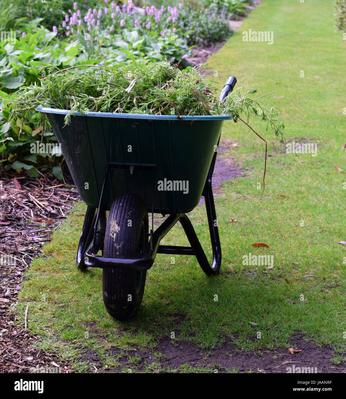 Trundle wheel hi-res stock photography and images - Alamy