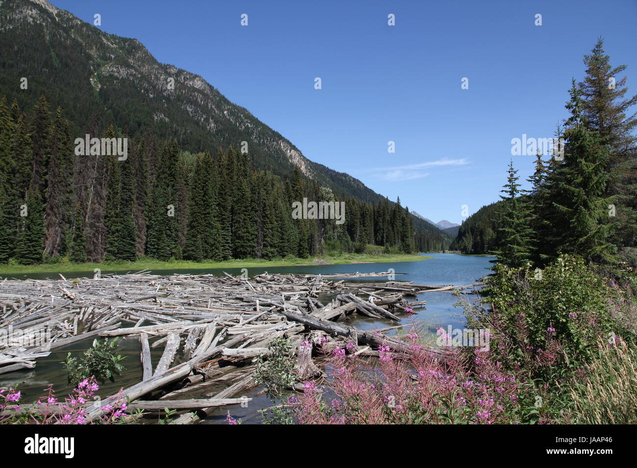 Kanda lake hi-res stock photography and images - Alamy