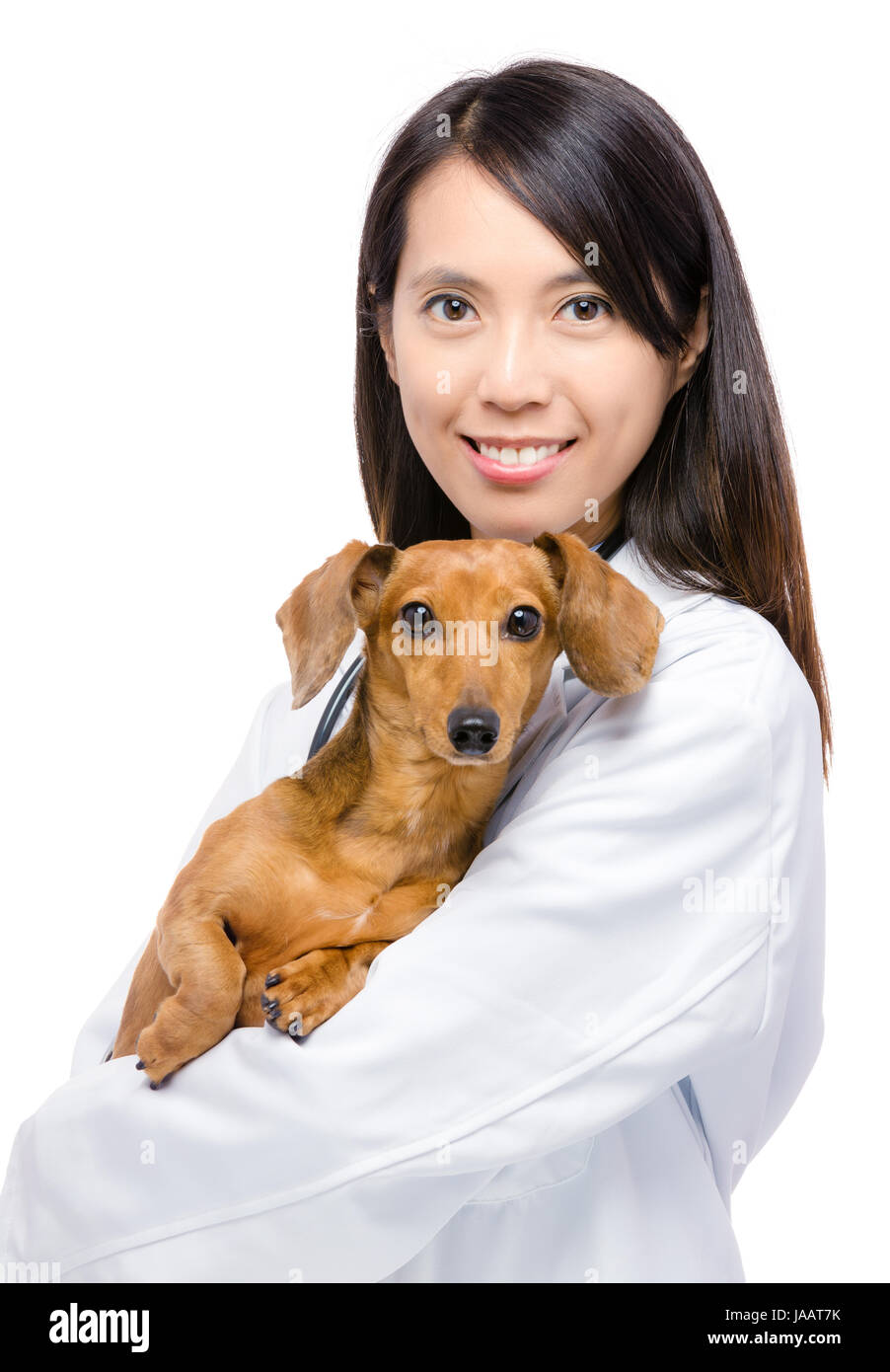 Veterinarian and dachshund dog Stock Photo - Alamy