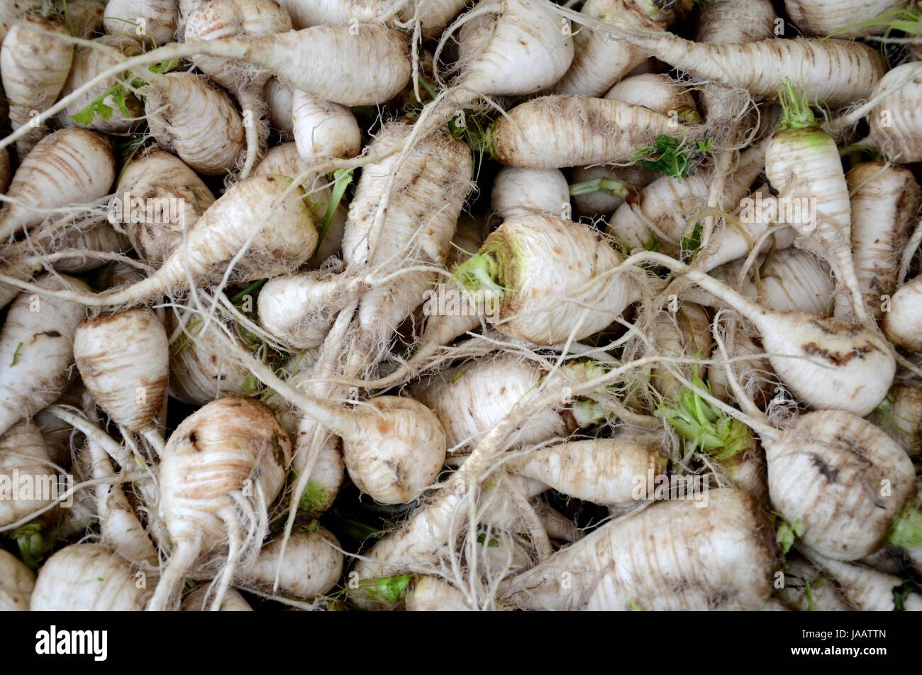 Conicity hi-res stock photography and images - Alamy