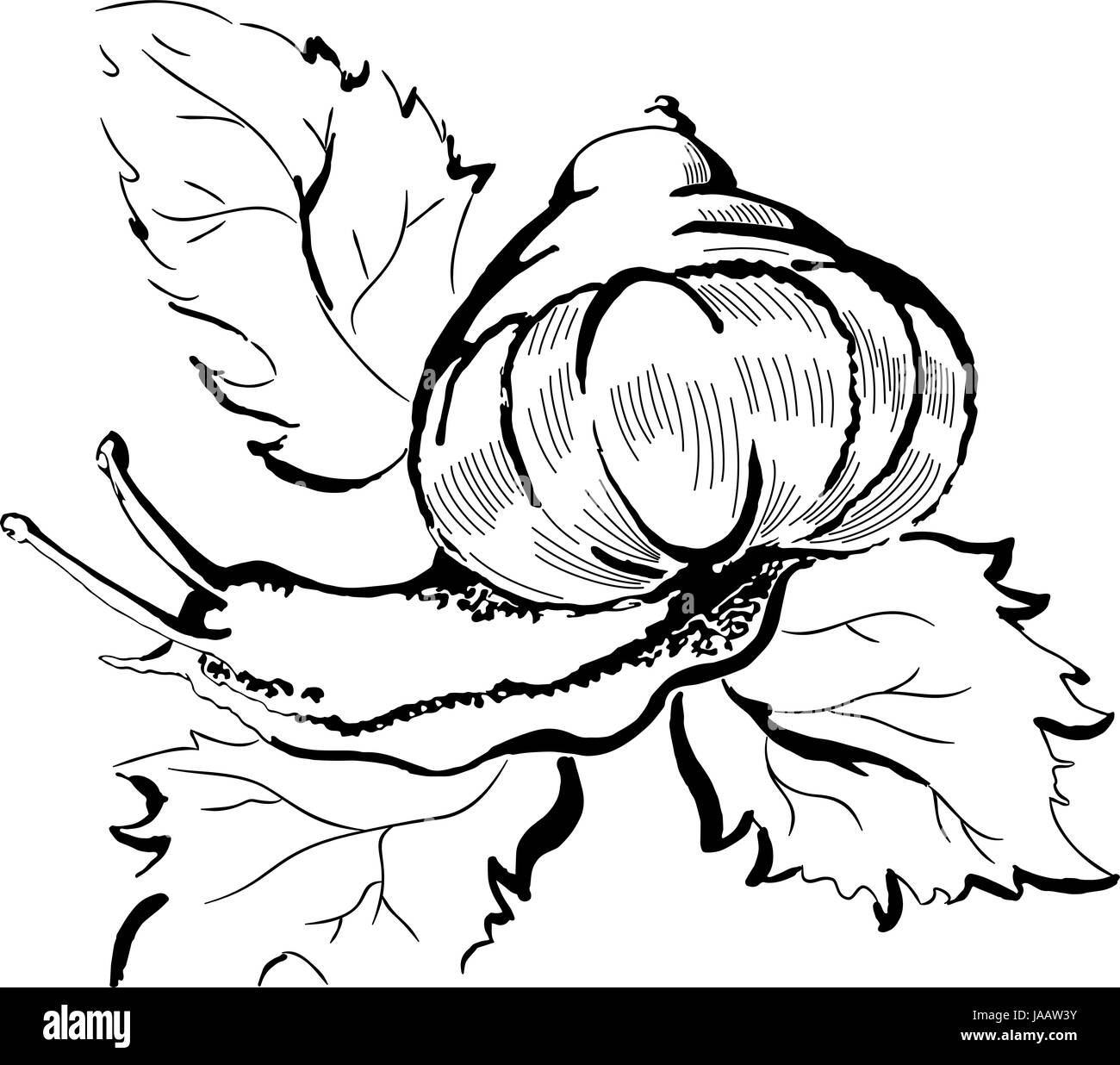Creative design of snail crawling on leaves Stock Photo - Alamy