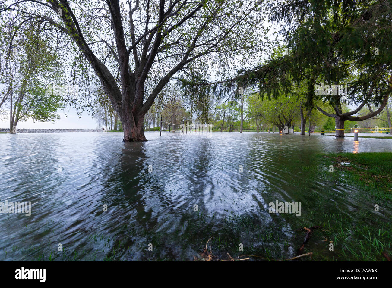 Partially submerged trees surrounded by flood water at a flooded park ...