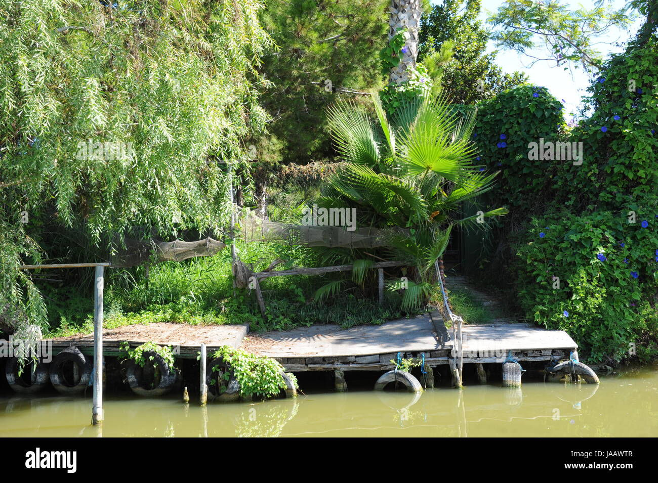 spain - valencia - albufera nature reserve Stock Photo - Alamy