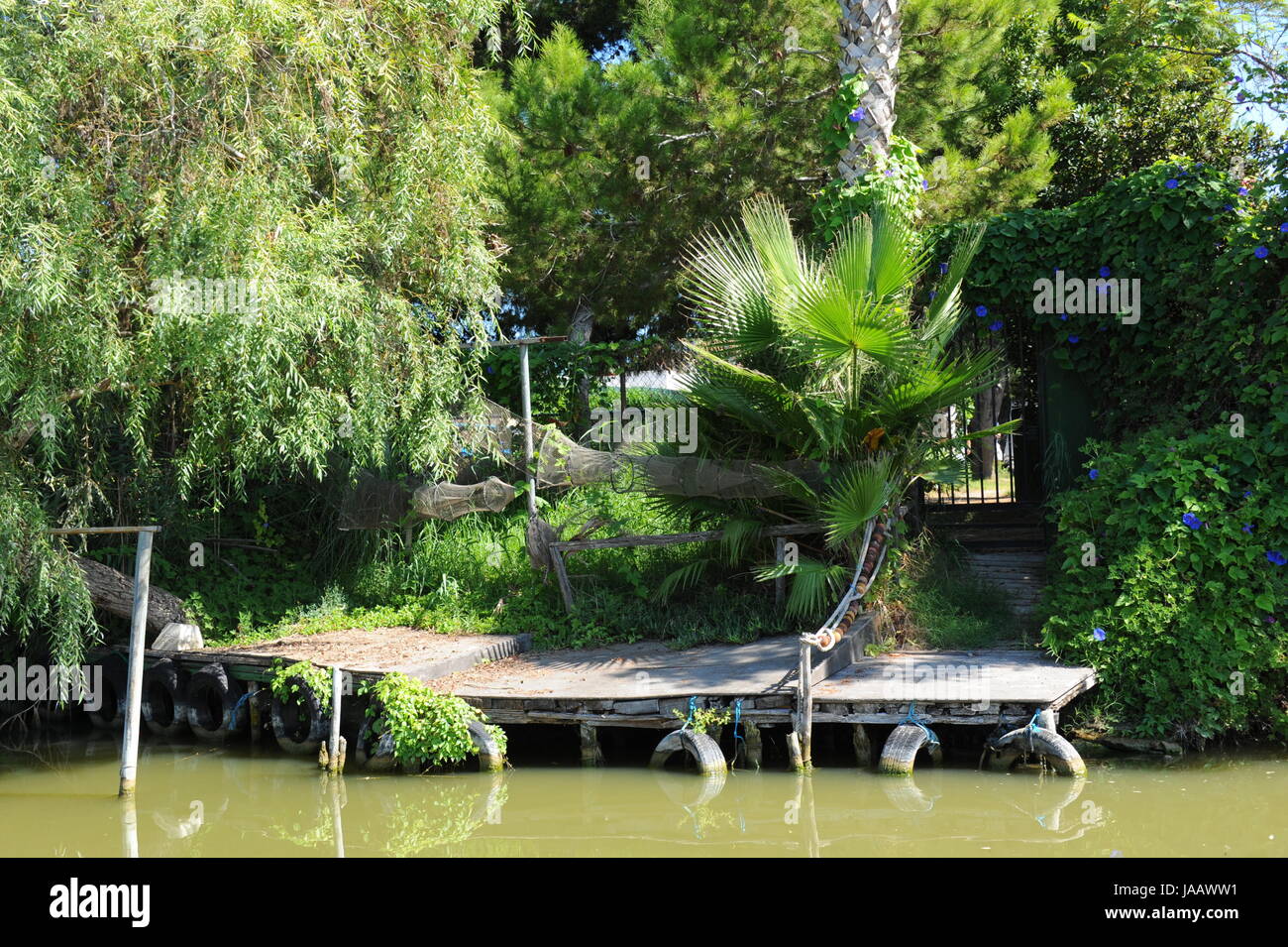spain - valencia - albufera nature reserve Stock Photo - Alamy