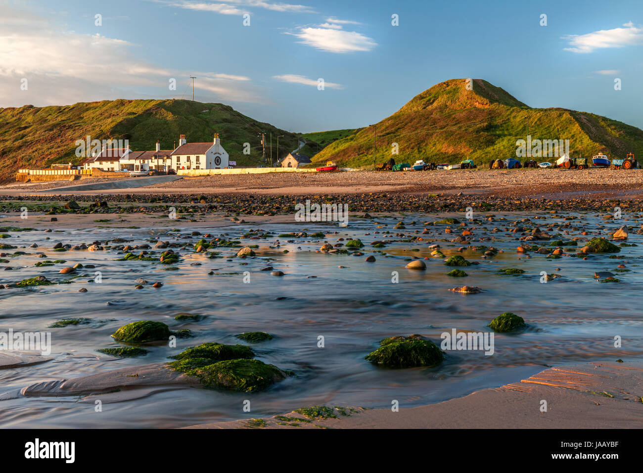 The cat nab hi-res stock photography and images - Alamy