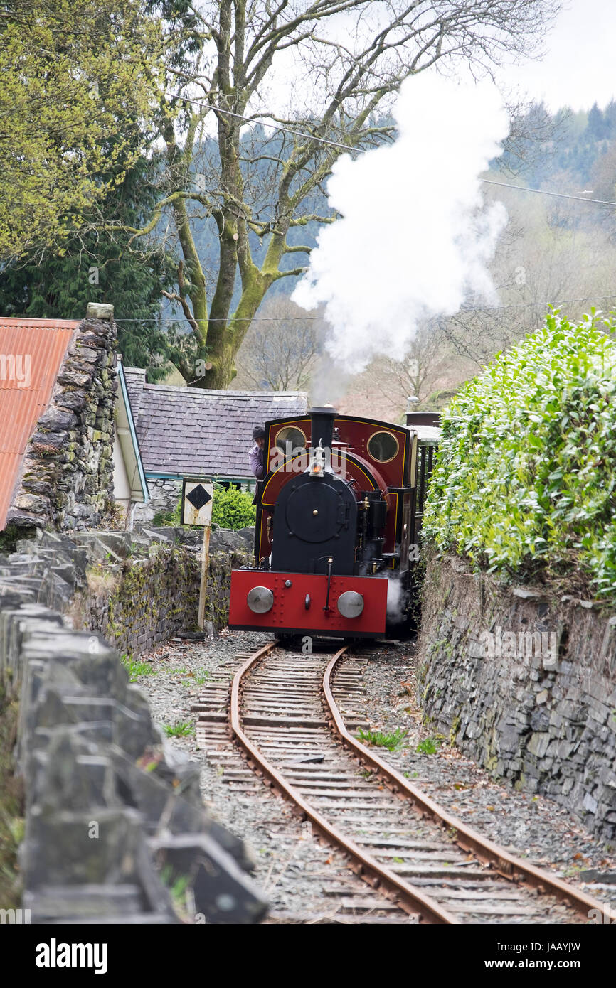 Narrow gauge steam corris railway Stock Photo - Alamy