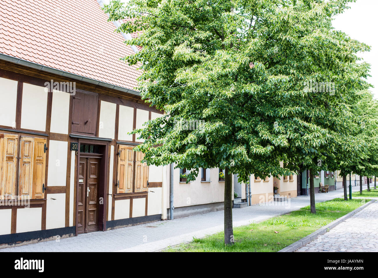 homestead, house, building, tree, trees, window, porthole, dormer ...