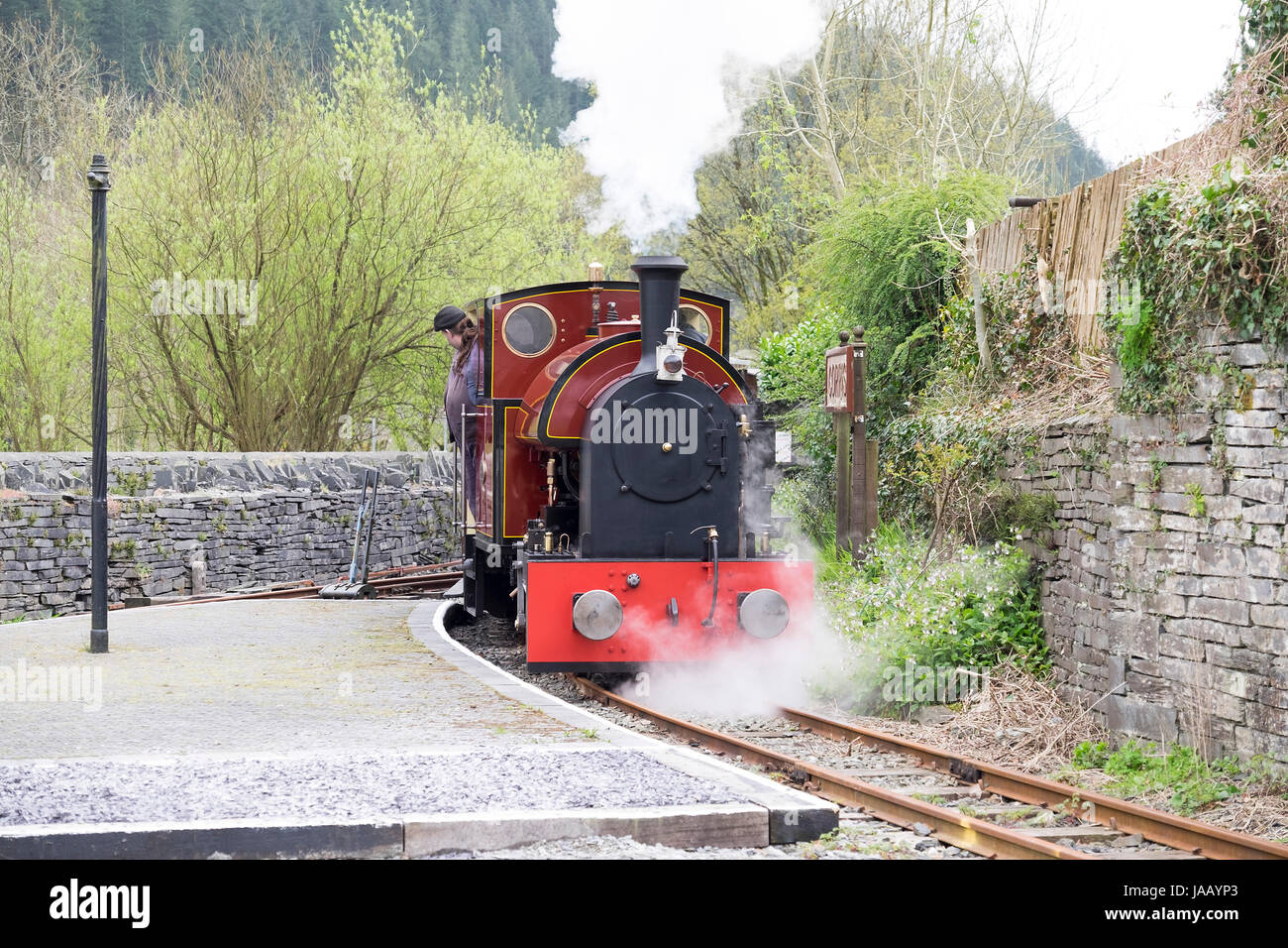 Narrow gauge steam corris railway Stock Photo - Alamy