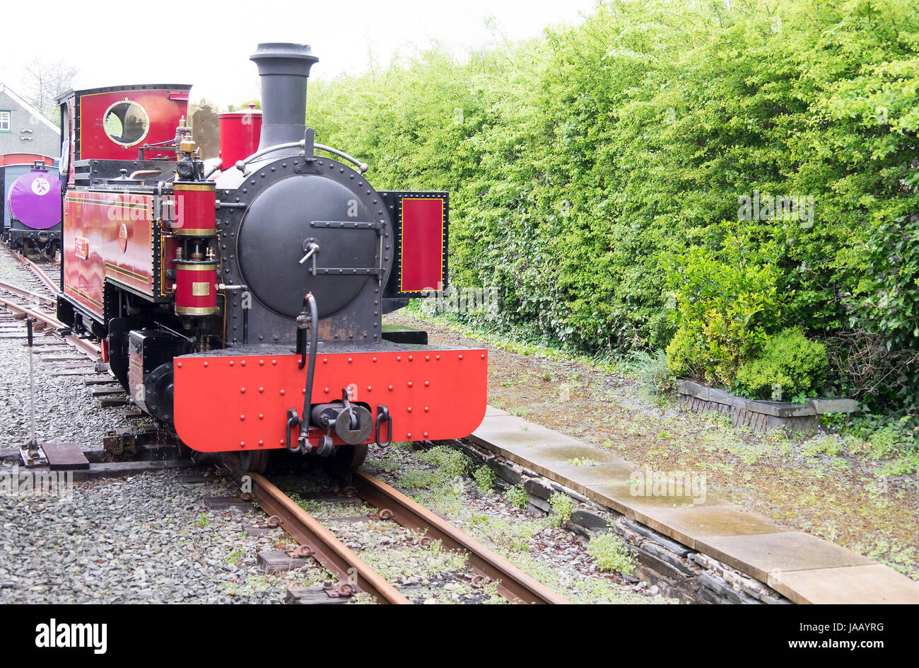 Narrow gauge steam train welsh hi-res stock photography and images - Alamy