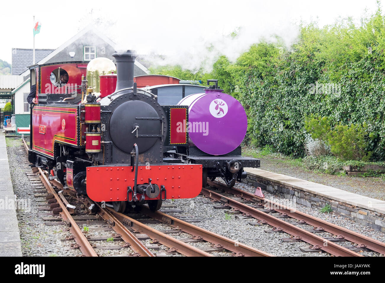 Narrow Gauge Steam Locomotive on the Welsh Highland Heritage Railway ...