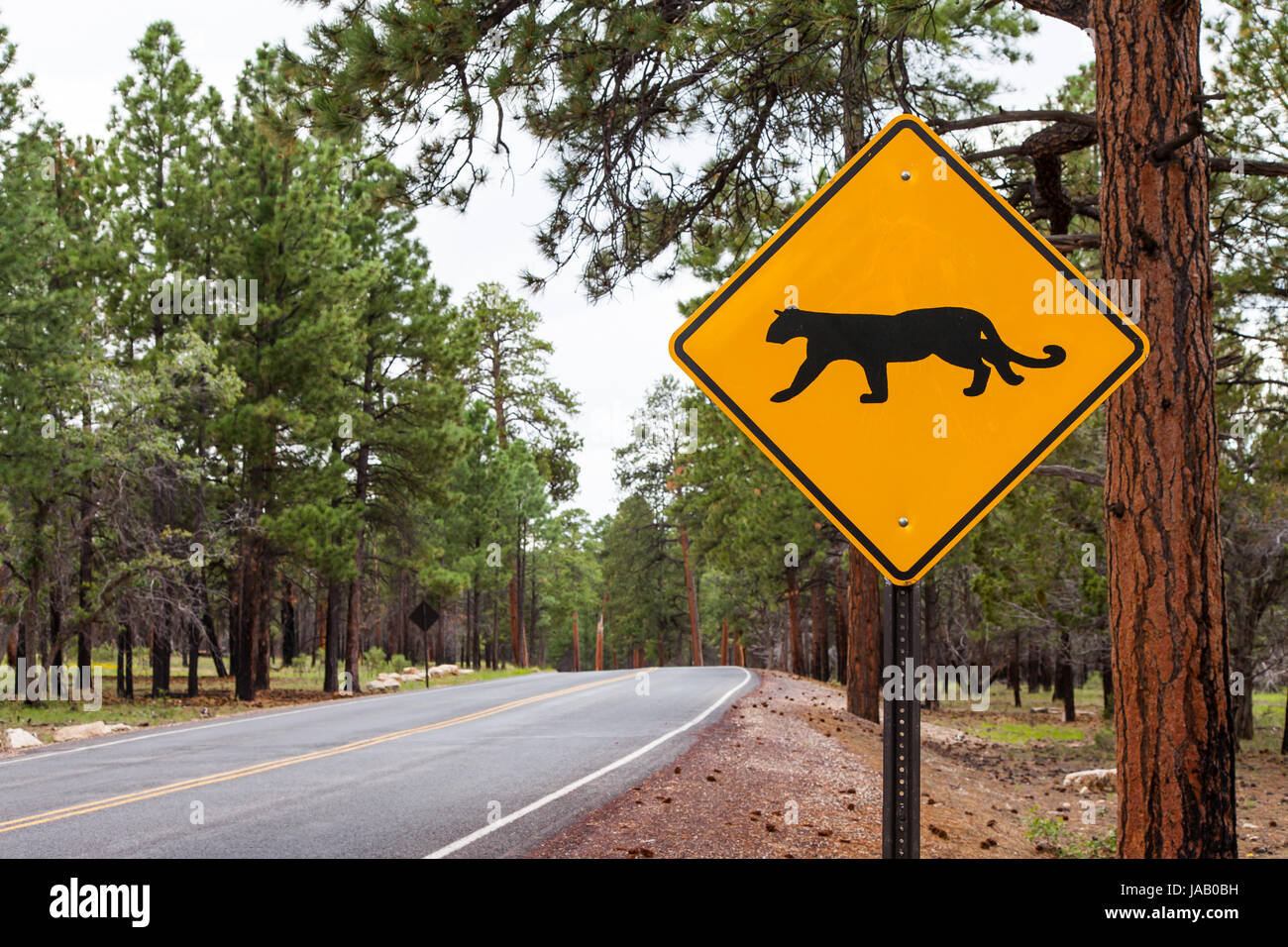 danger, environment, enviroment, risk, animal, wild, tourism, usa ...