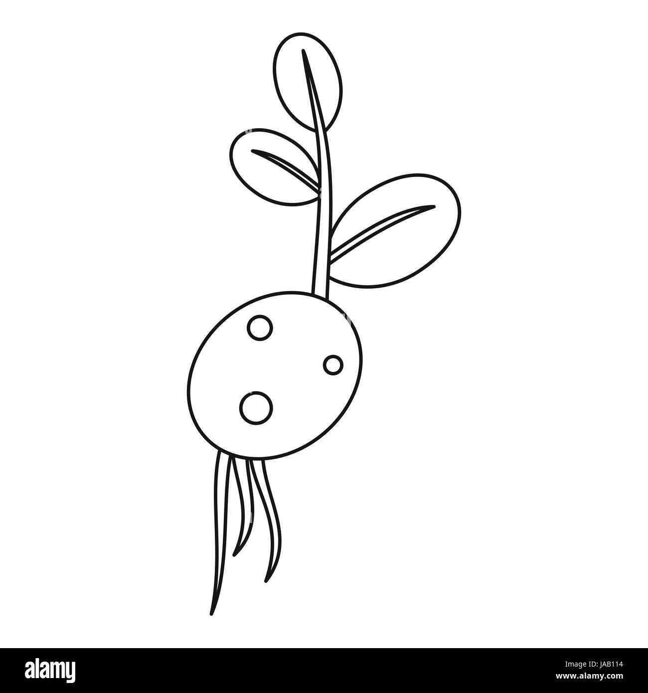 Potato seed icon, outline style Stock Vector Image & Art - Alamy