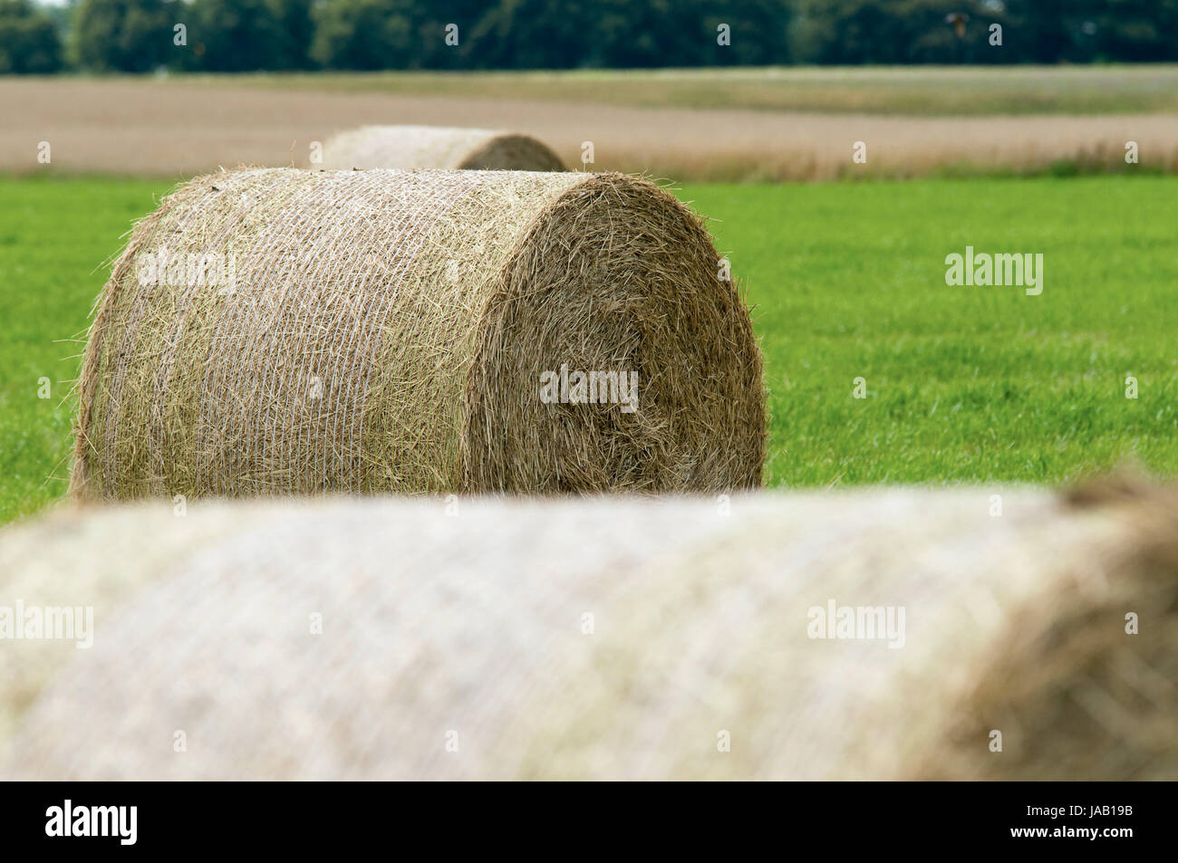 agriculture, farming, corn field, hay, straw, season, nature, fall ...