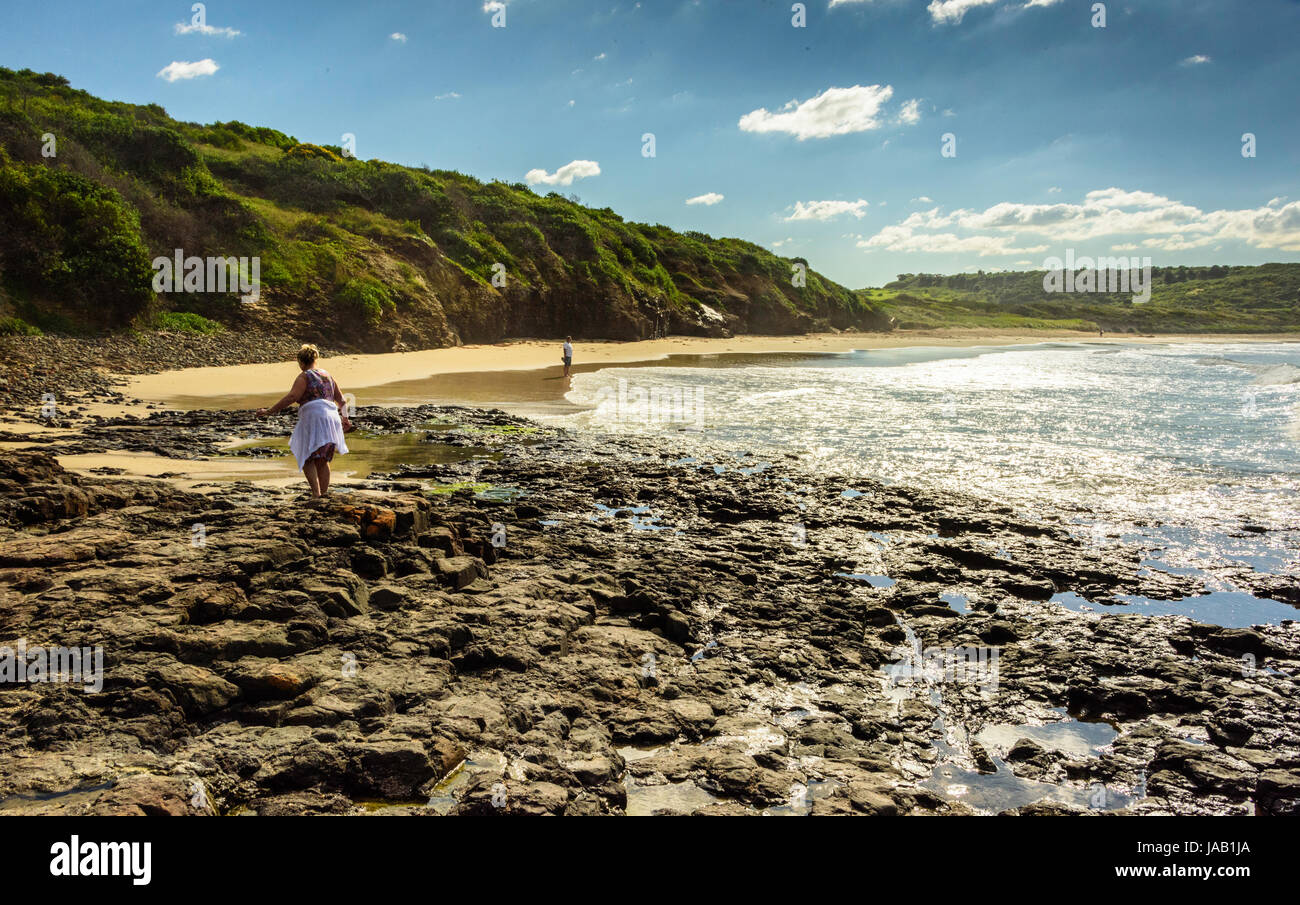 Views from Killalea Stae ark, Farm Beach, NSW Stock Photo - Alamy