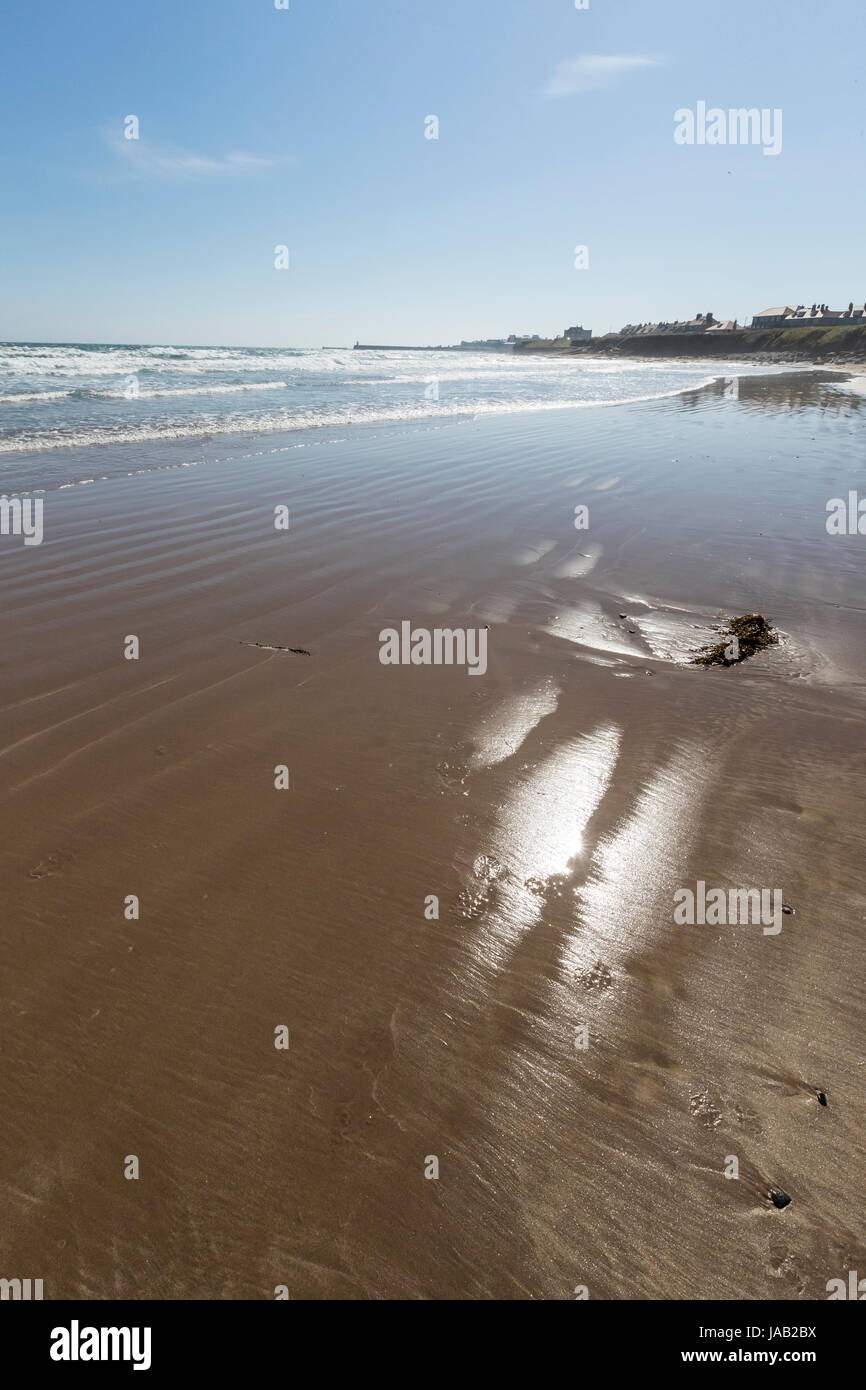 St Aidans beach, Seahouses, Northumberland. UK Stock Photo - Alamy