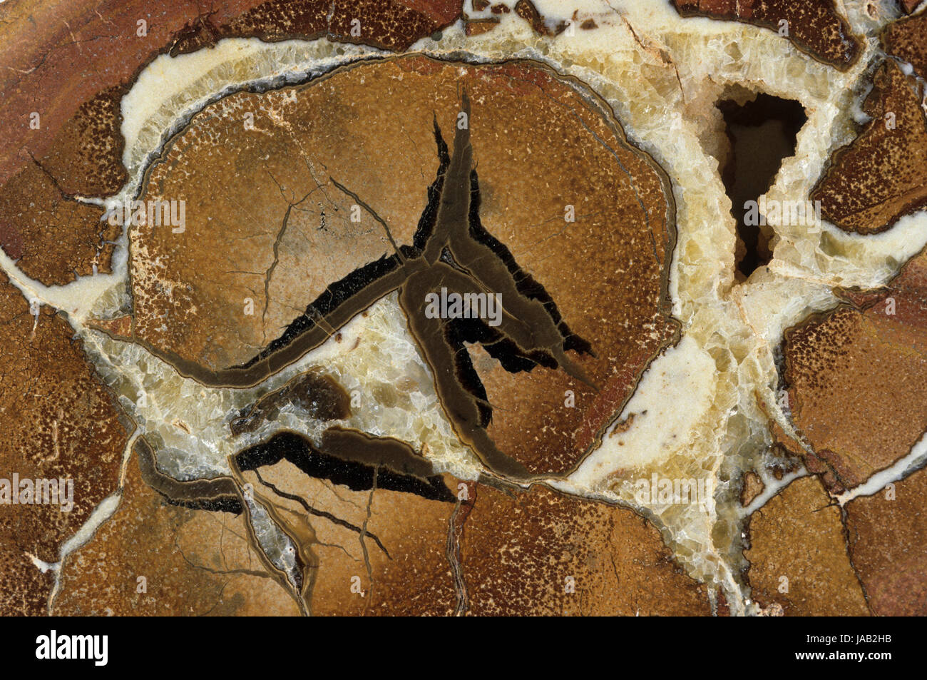 abstract; art; geology; imaginaires; macrophotographie; mineral ...