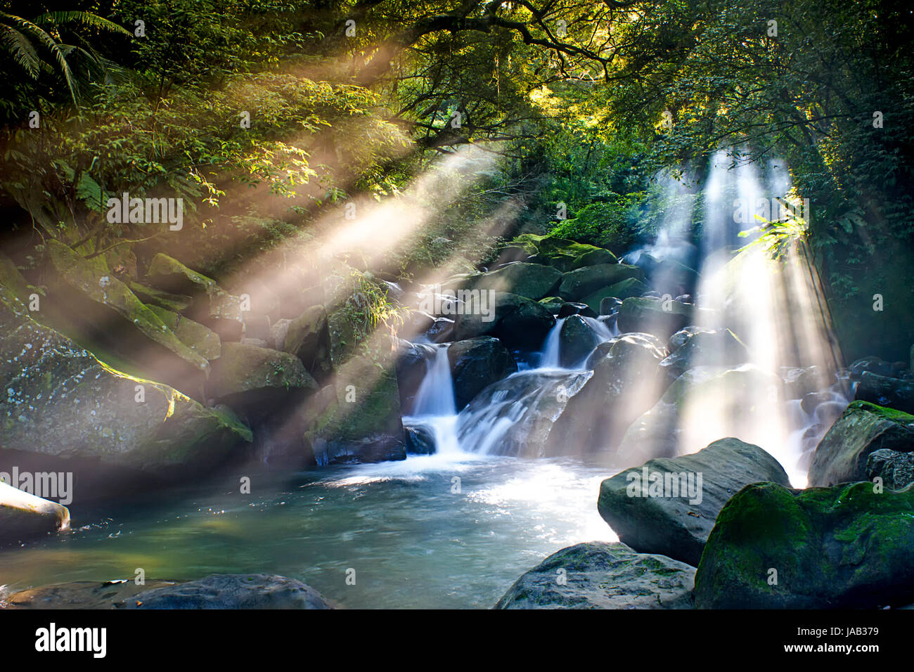 blue, beautiful, beauteously, nice, environment, enviroment, tree, flow ...