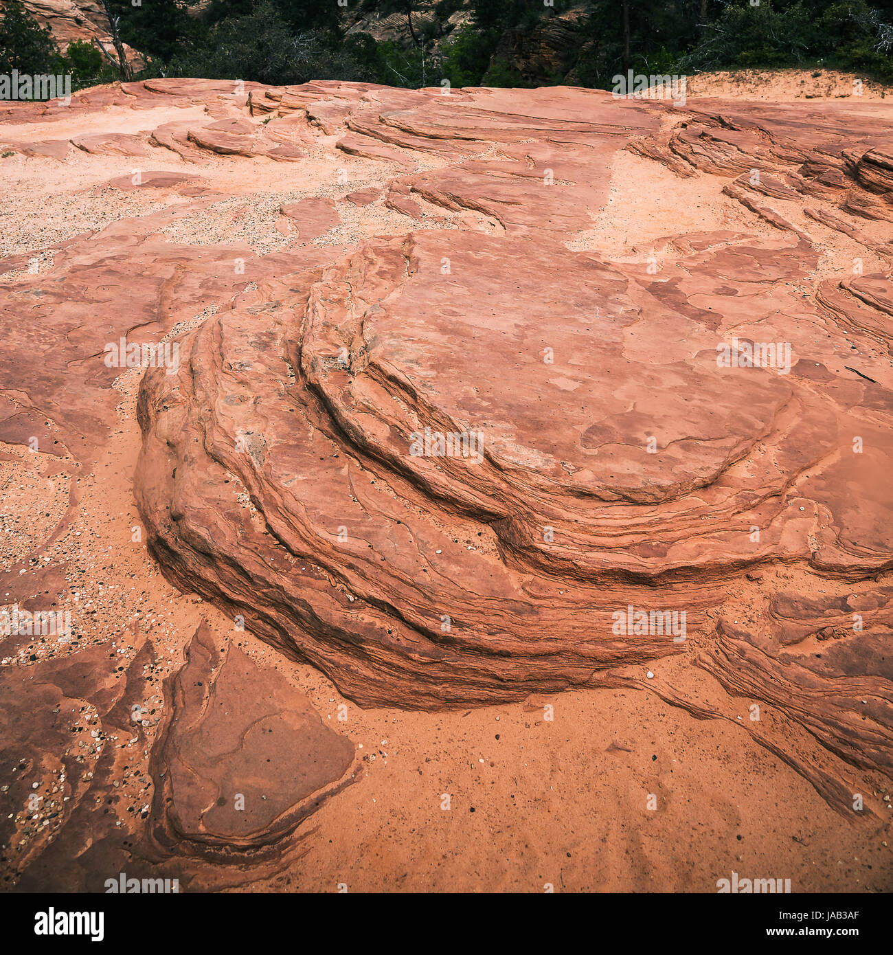 Fanciful stratification of rocks, Zion National Park, Southern Utah ...