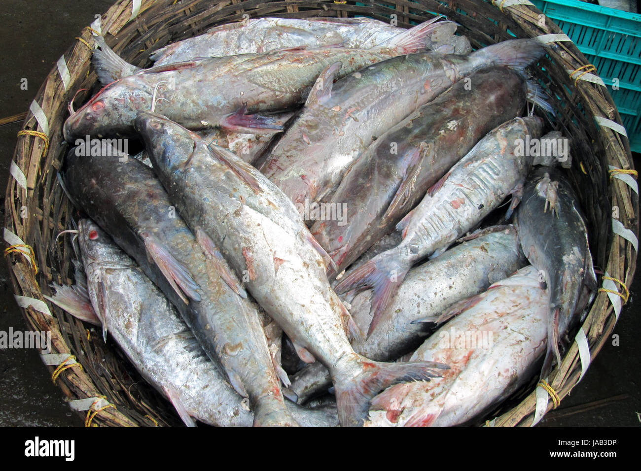 Sea fish. Fishes are selling at market, Digha, west Bengal in India ...