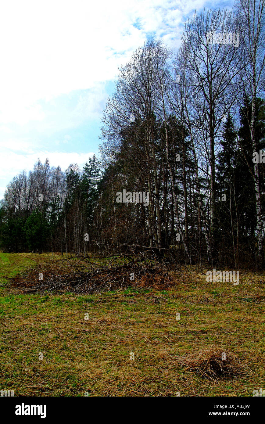 sloping field near the woods against a stormy sky in spring Stock Photo ...