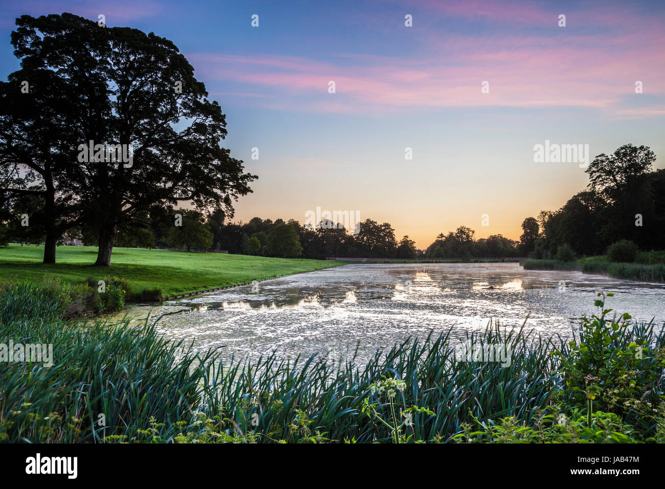 A summer sunrise over the lake at Lydiard Park in Swindon, Wiltshire ...