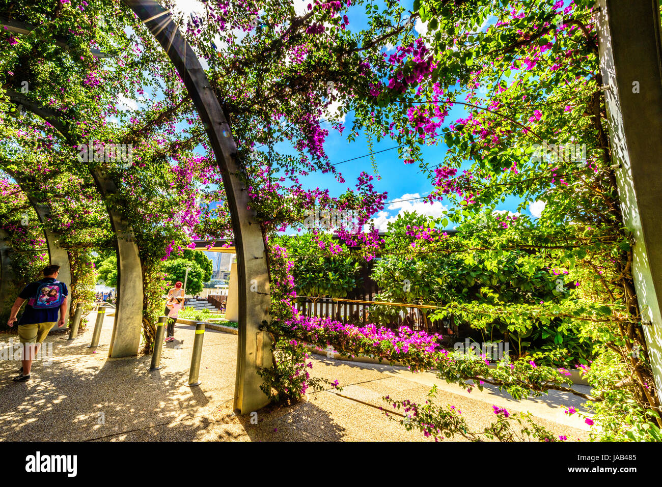 Brisbane River, Southbank and Botanical Gardens Stock Photo - Alamy