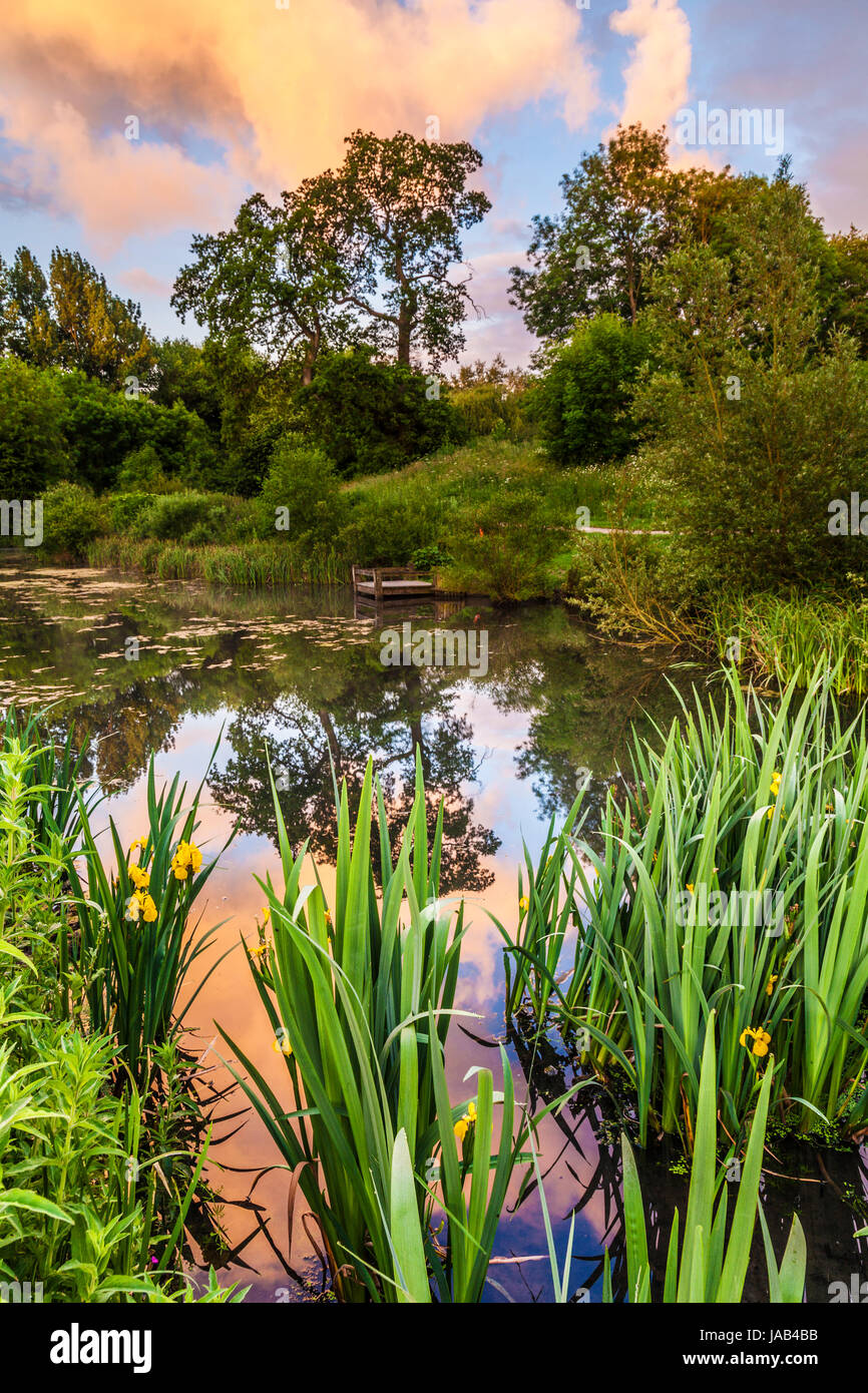 Restored pond hi-res stock photography and images - Alamy