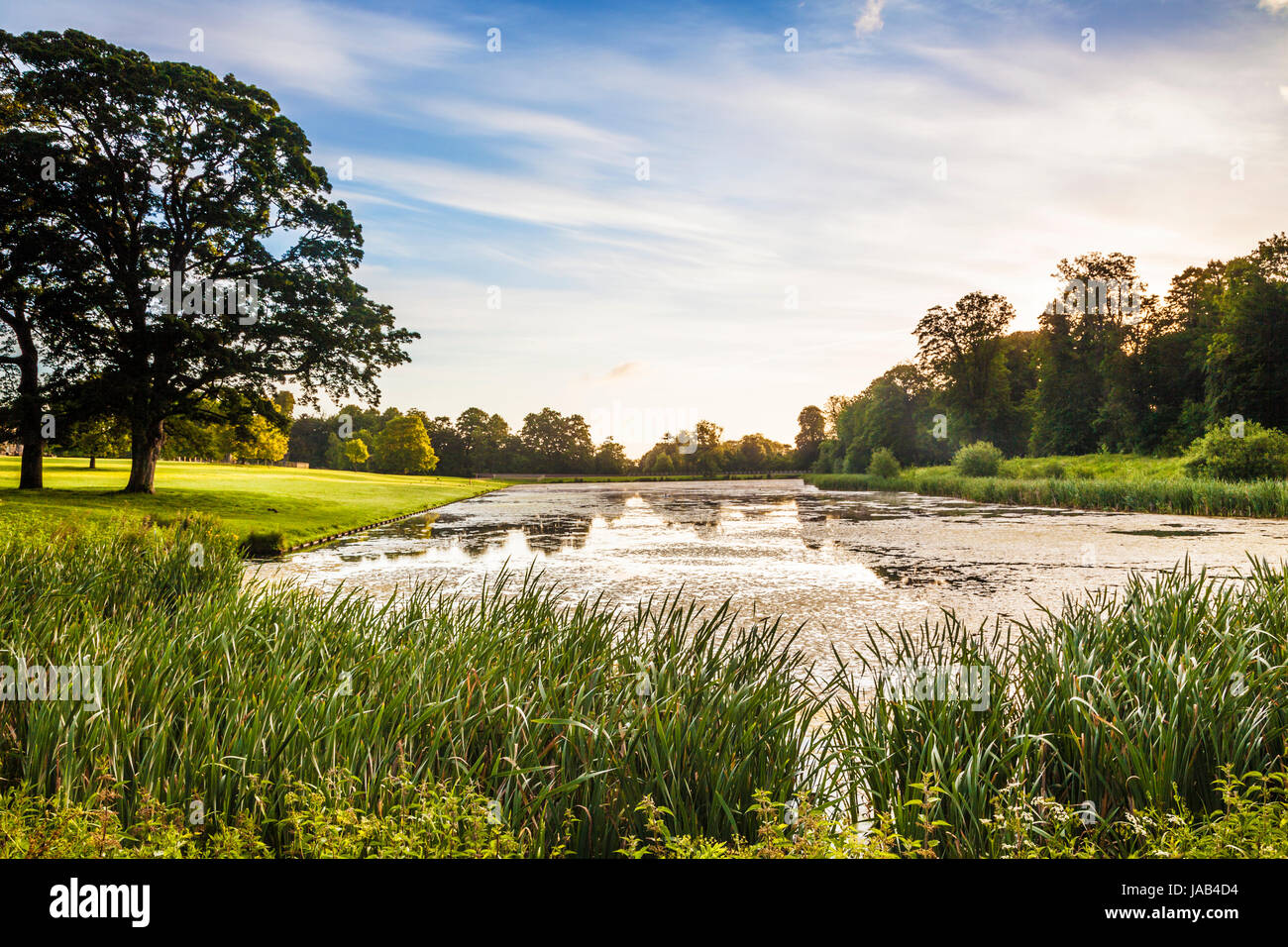 A summer sunrise over the lake at Lydiard Park in Swindon, Wiltshire ...