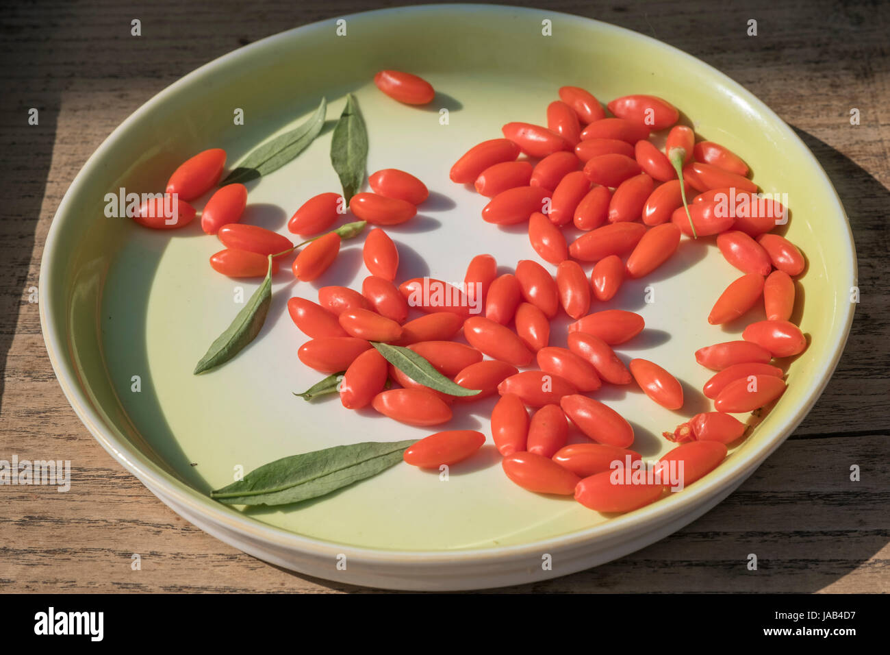 China berries hi-res stock photography and images - Alamy
