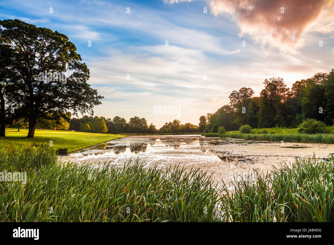 A summer sunrise over the lake at Lydiard Park in Swindon, Wiltshire ...