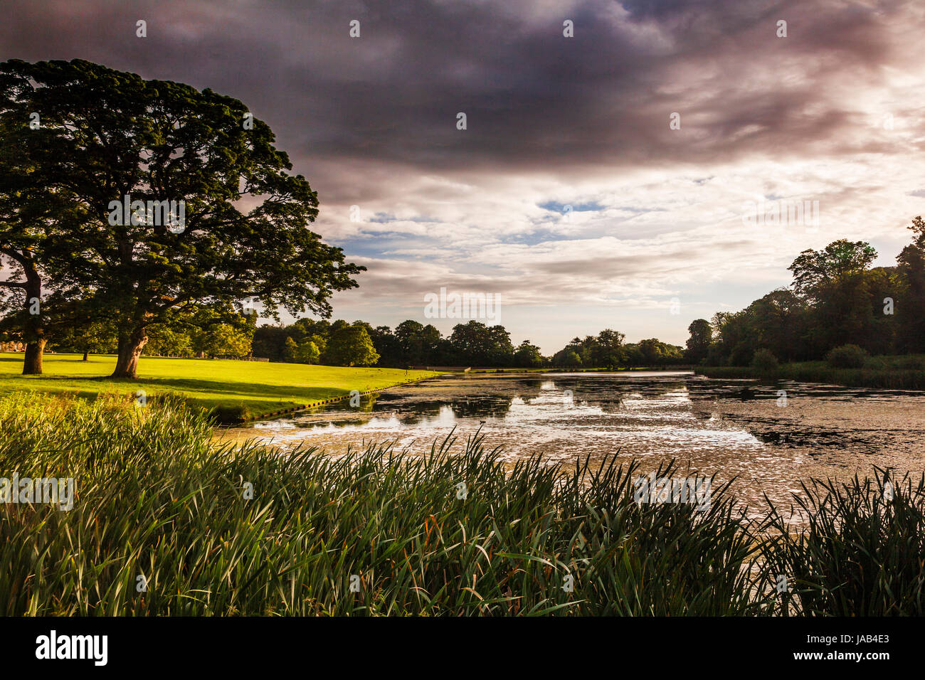 A summer sunrise over the lake at Lydiard Park in Swindon, Wiltshire ...