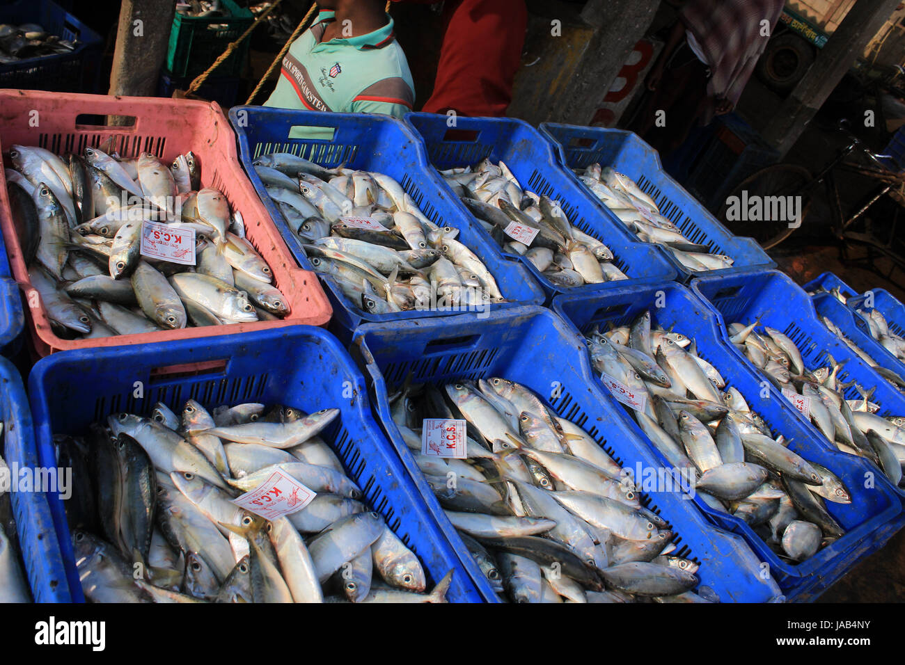Fish at market. Crowded fish on fish market Stock Photo - Alamy