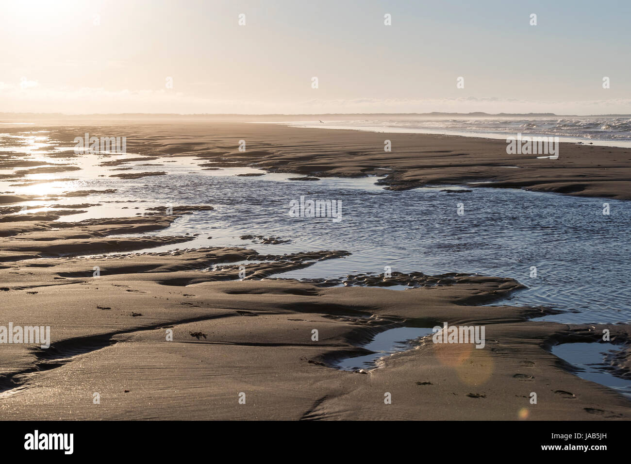 Budle bay nature reserve hi-res stock photography and images - Alamy