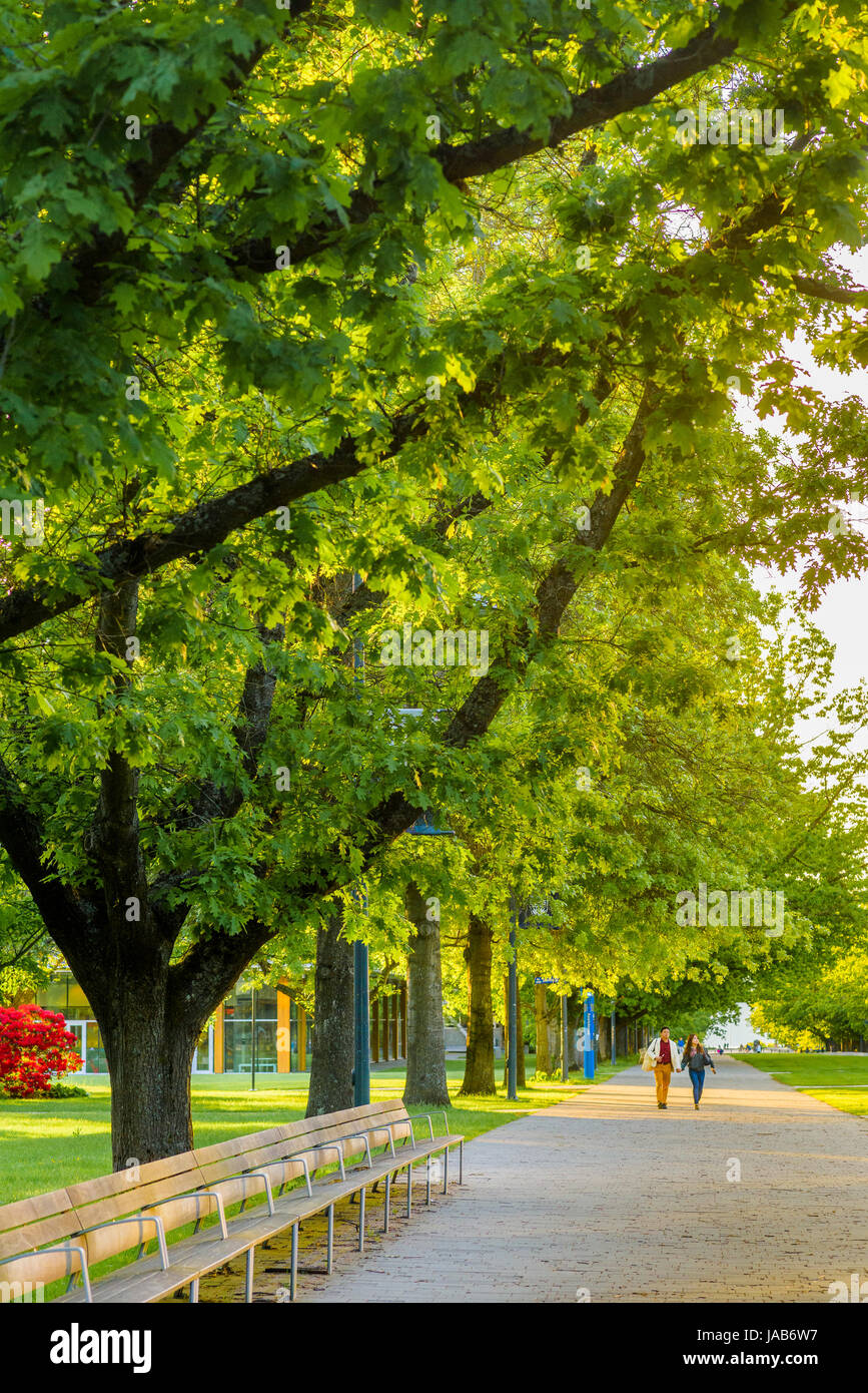 View down the Main Mall at the University of British Columbia ...
