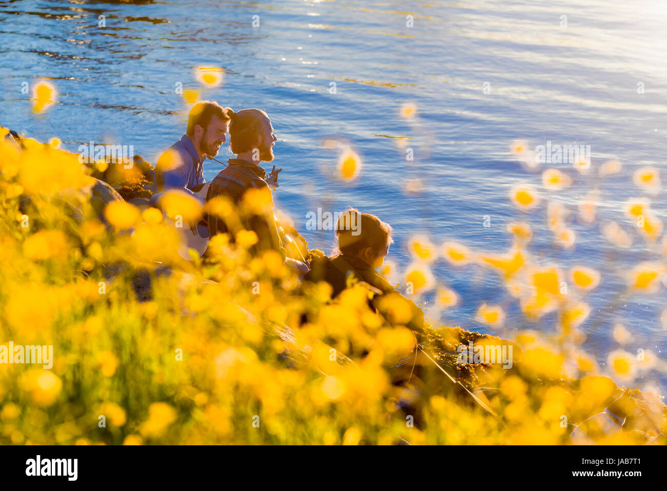 Singing crab hi-res stock photography and images - Alamy