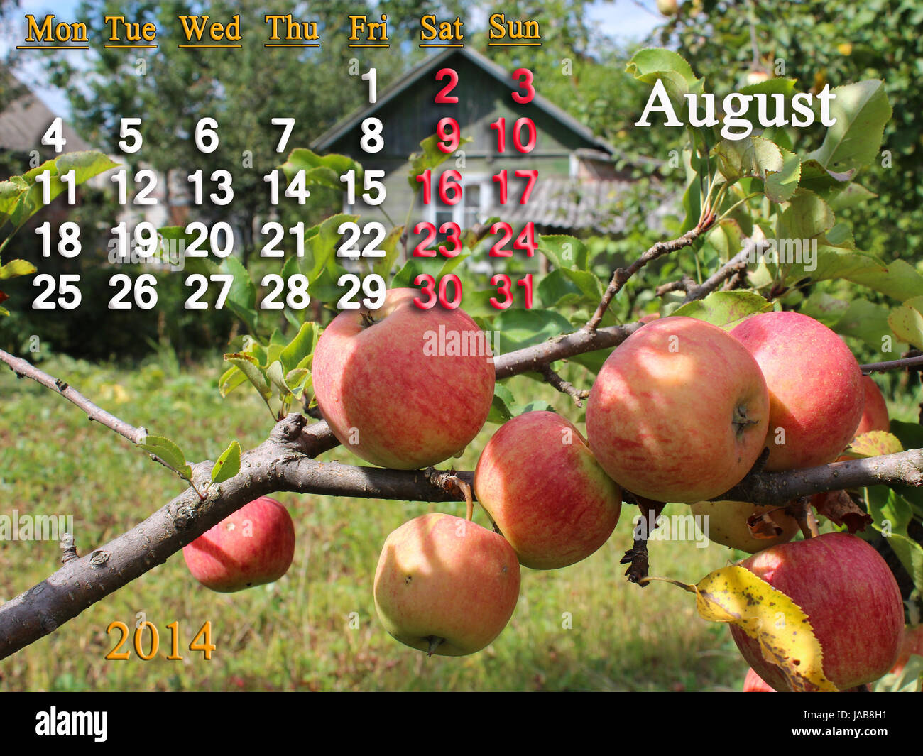 beautiful calendar for the August of 2014 year with apples Stock Photo ...