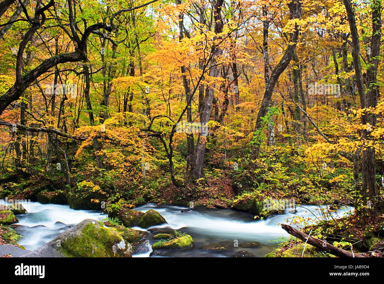 Oirase keiryu hi-res stock photography and images - Alamy