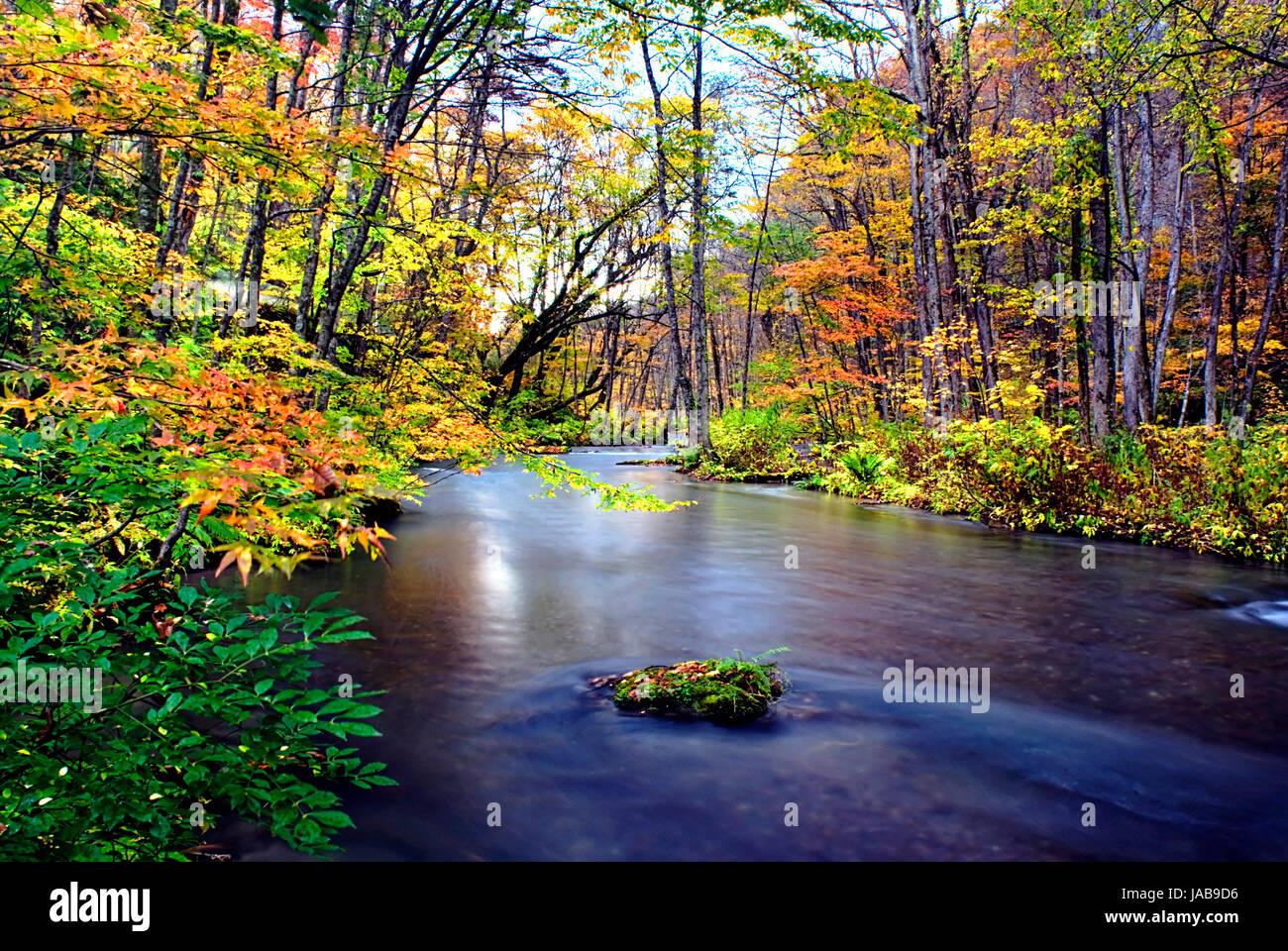 Oirase keiryu hi-res stock photography and images - Alamy