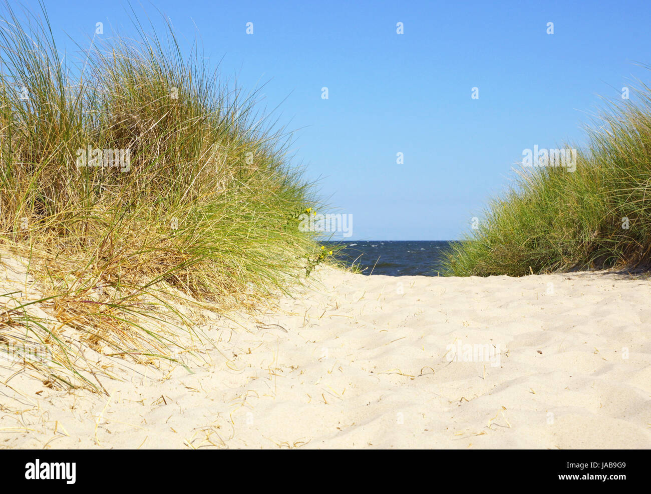Der Weg zum Strand Stock Photo - Alamy