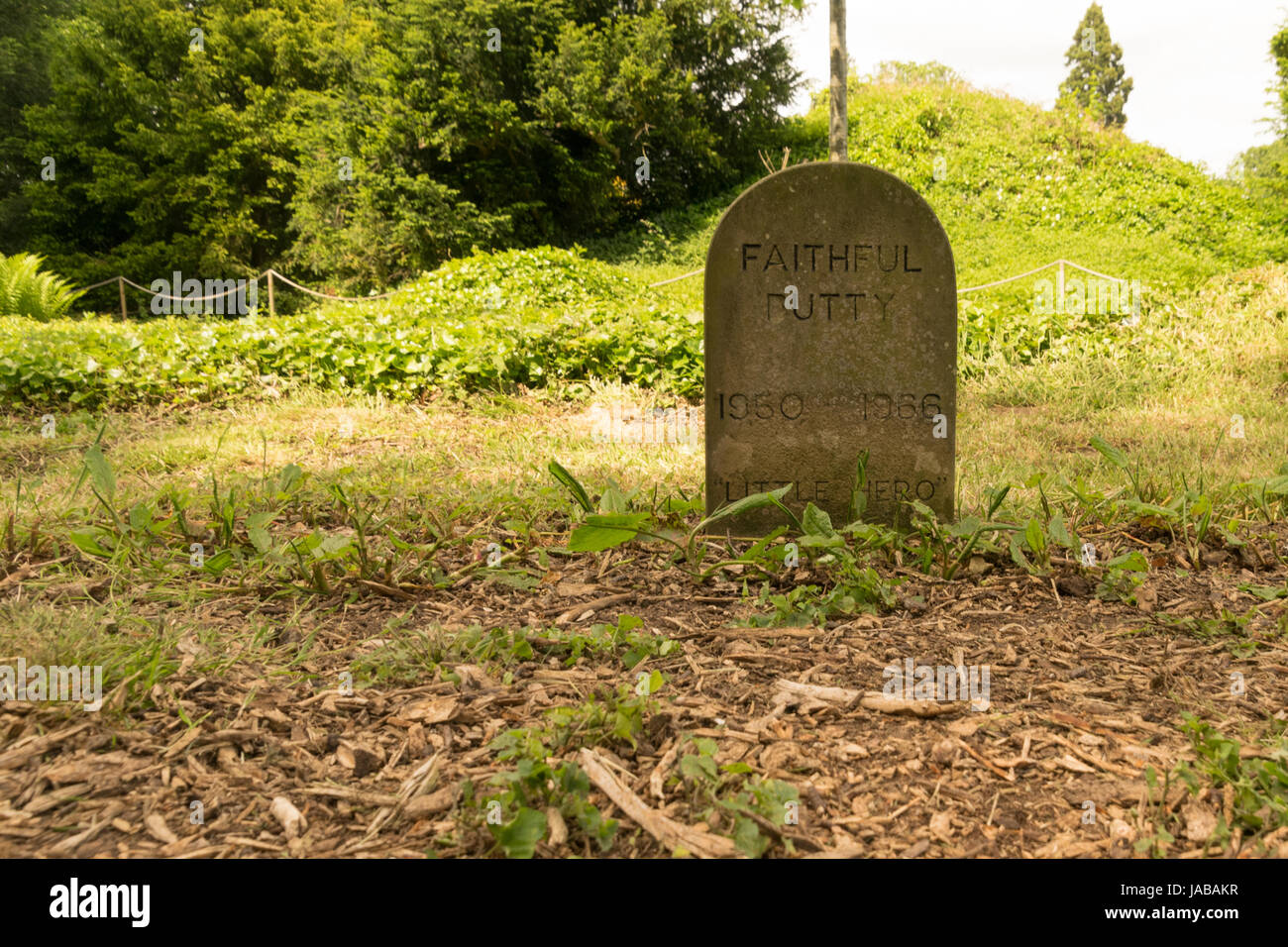 Pet gravestone hi-res stock photography and images - Alamy